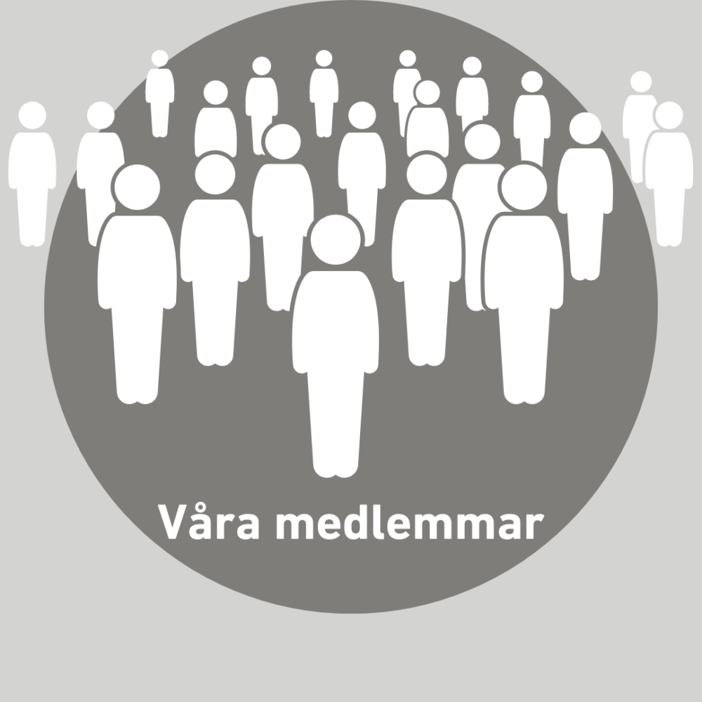SWEDMA - Swedish Data & Marketing Association
